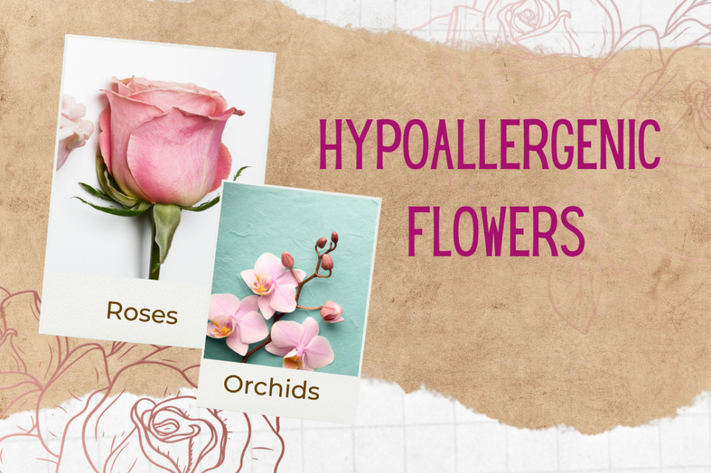 Best and Worst Flowers for Allergies - BloomNation Blog