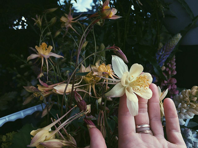 4 Floral Blogs You Should Be Reading - BloomNation Blog